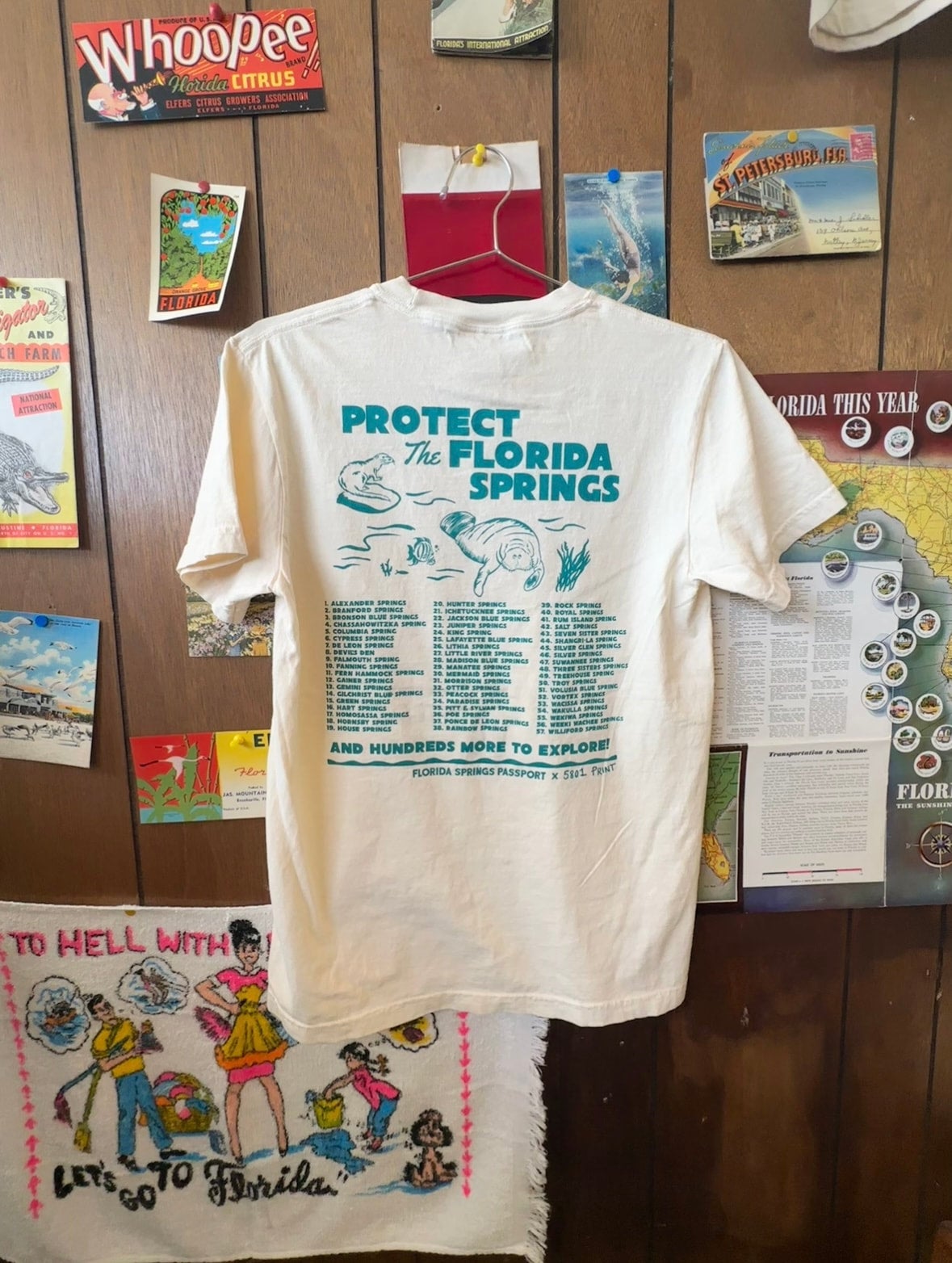 Protect the Springs Tee | 5801 Print House