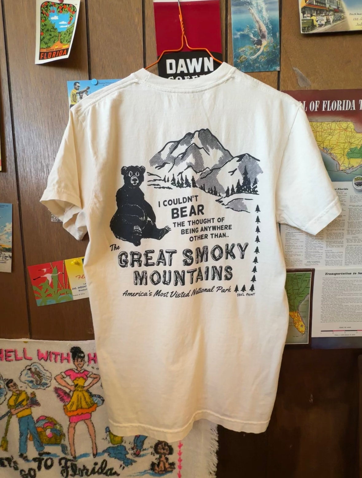 Smoky Mountains Tee | 5801 Print House