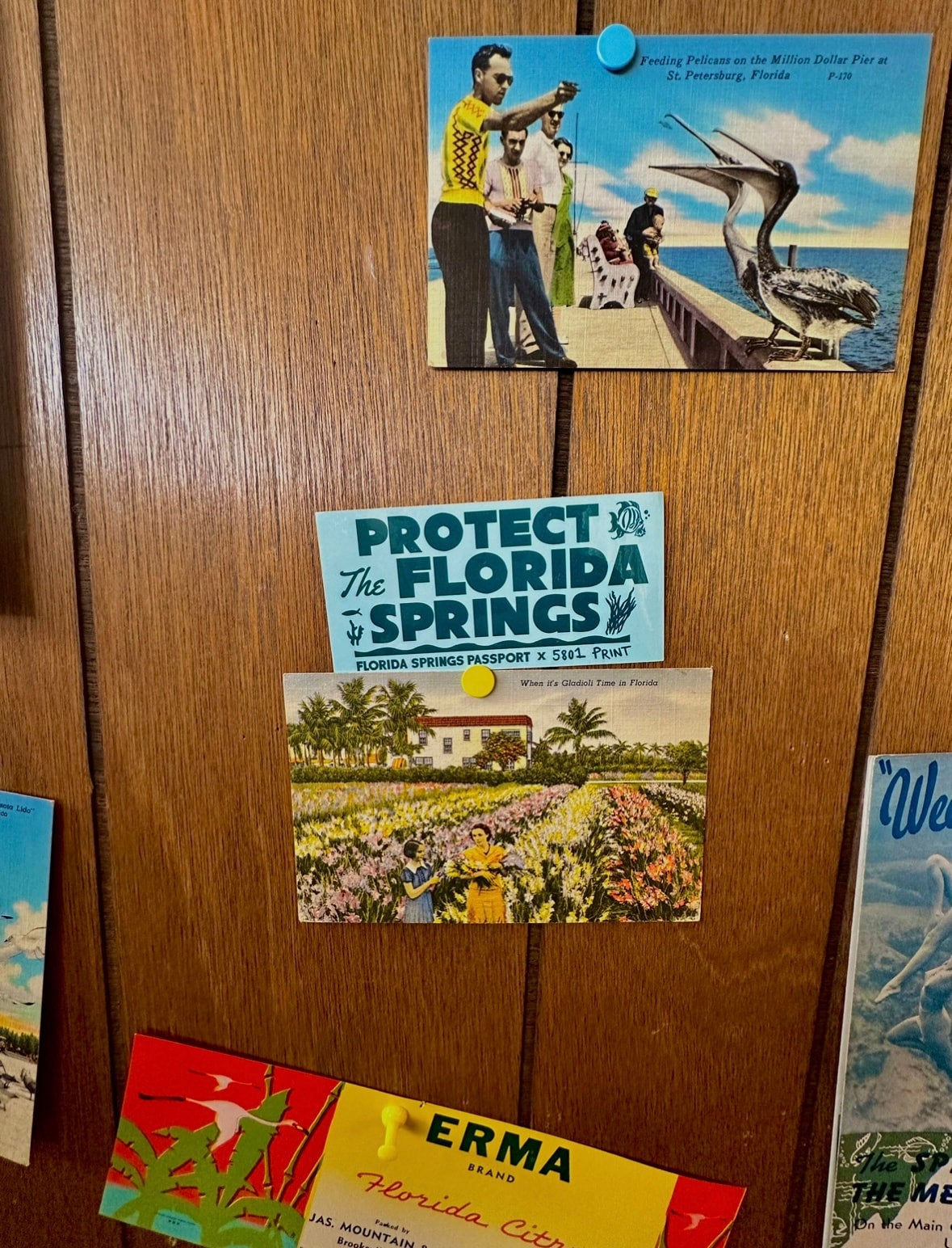 Protect the Springs Sticker | 5801 Print House
